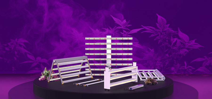 LED Grow Lights | Solution for Cannabis Grow Facility | Medic Grow LED